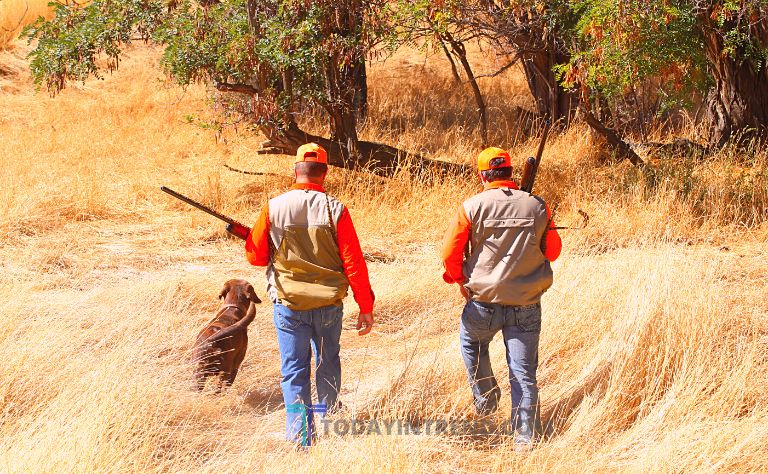 What Information on Your Hunting Plan Can Help Law Enforcement ...